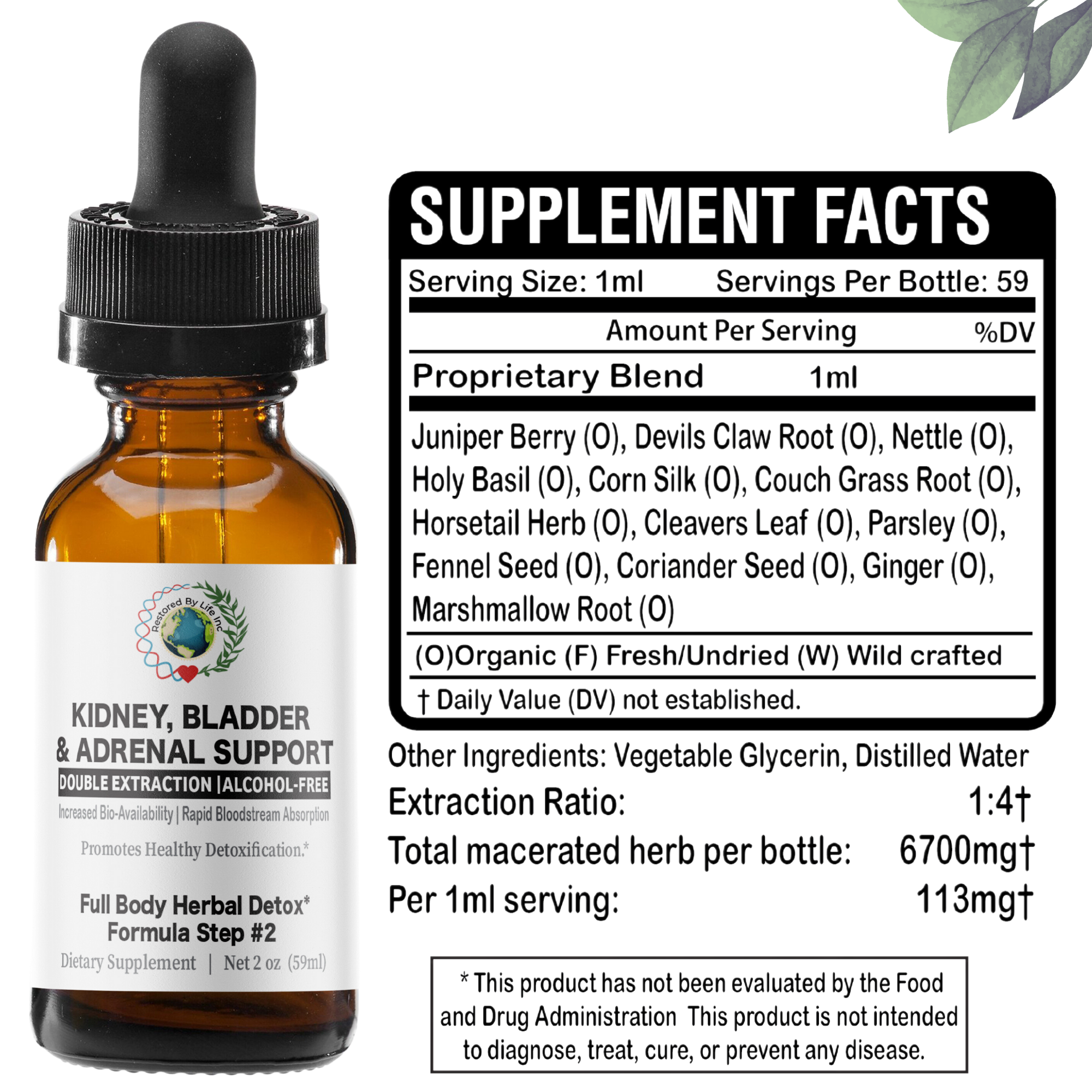 Kidney, Bladder, & Adrenal Support | Restored By Life