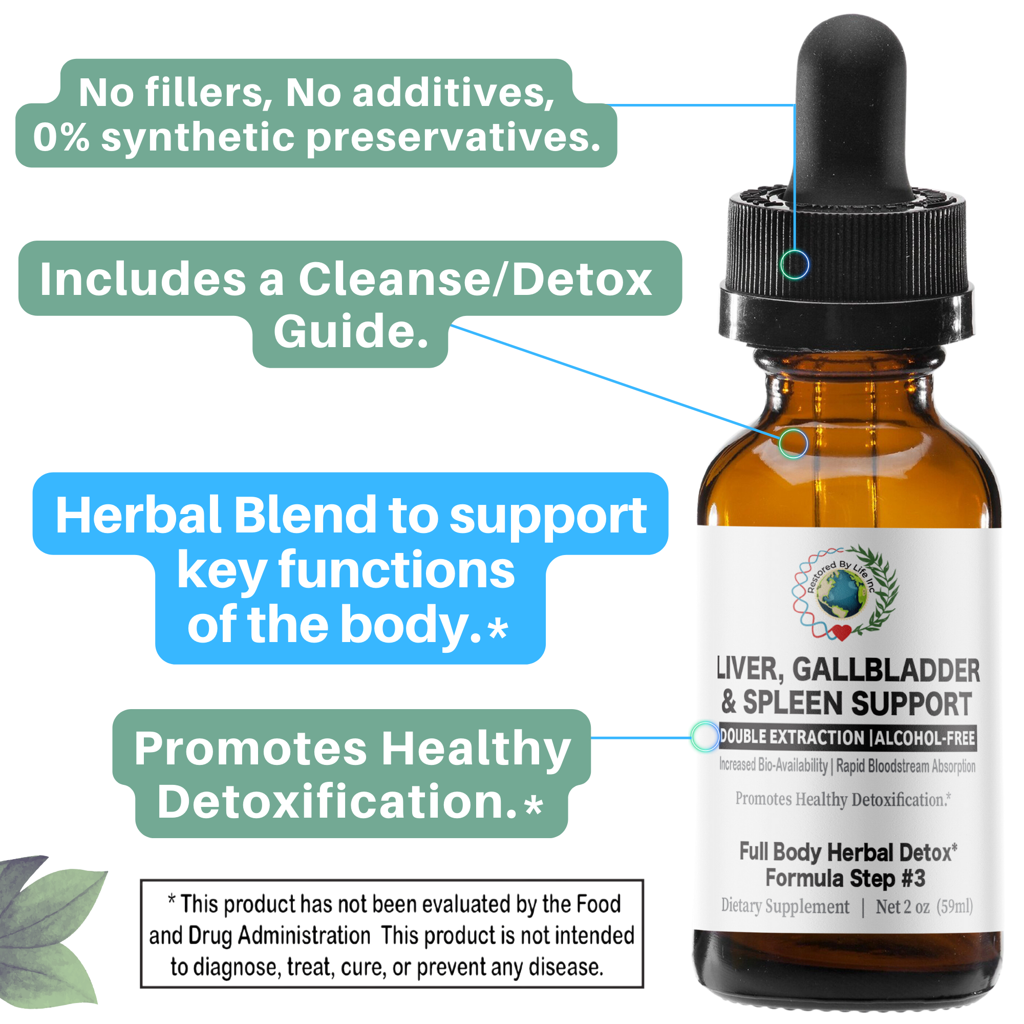 Liver, Gallbladder, & Spleen Support | Restored By Life