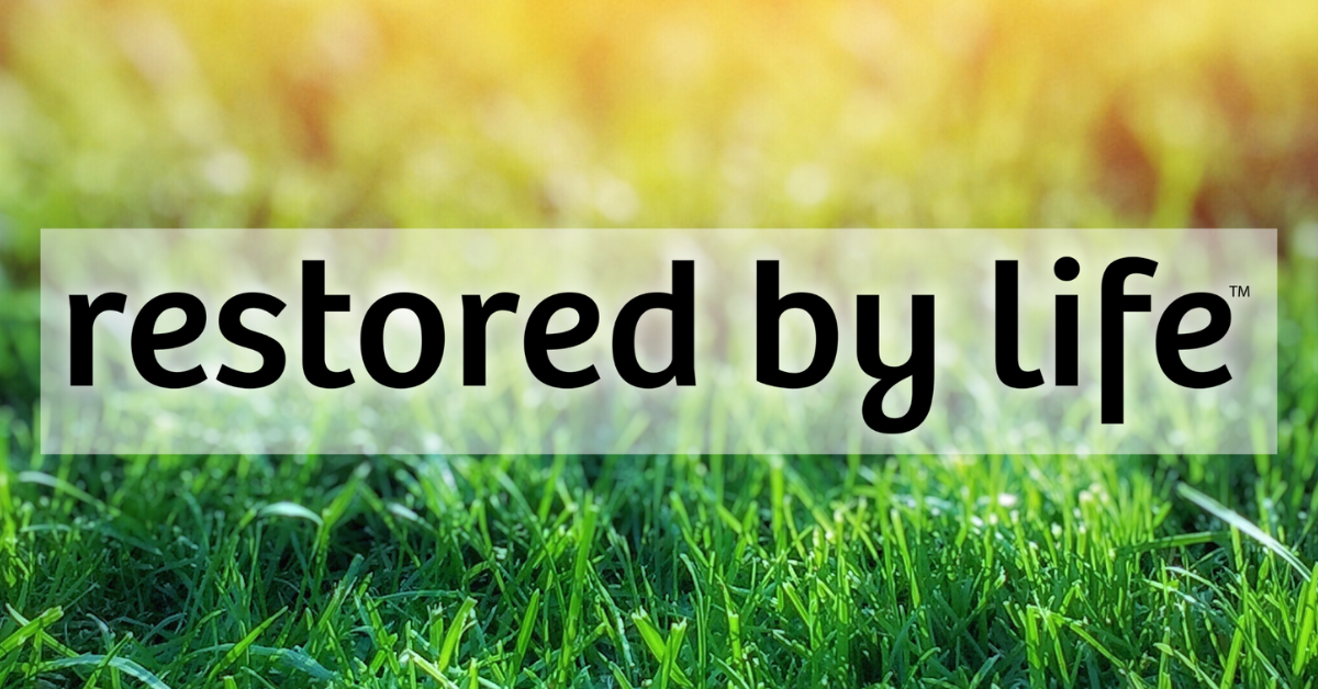 Full Body 6-Step Formula Guide